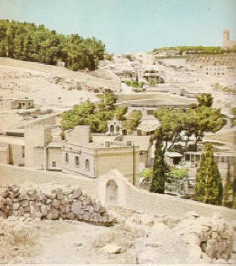 Betfage, il piccolo villaggio tra Betania e Gerusalemme, sul monte ...